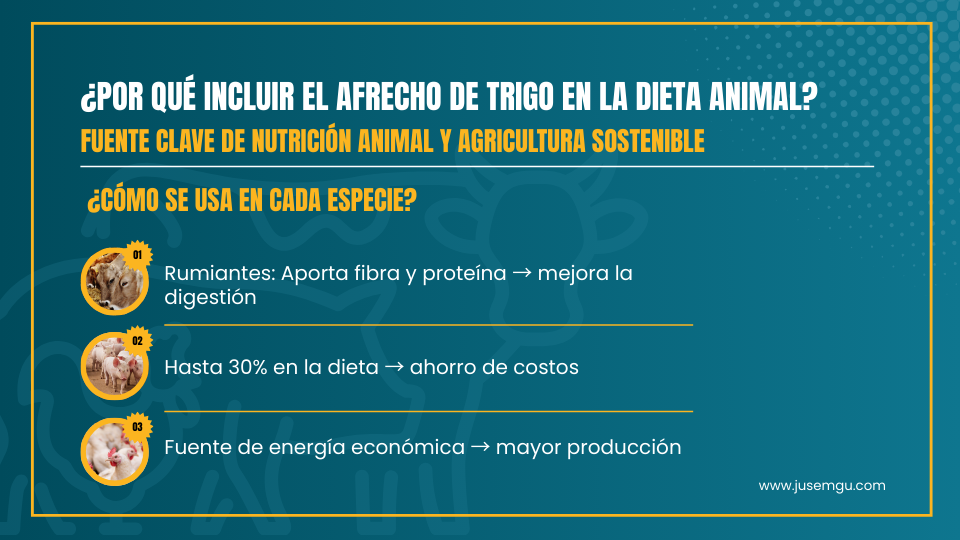 Datos sobre la Ficha Técnica del Afrecho de Trigo