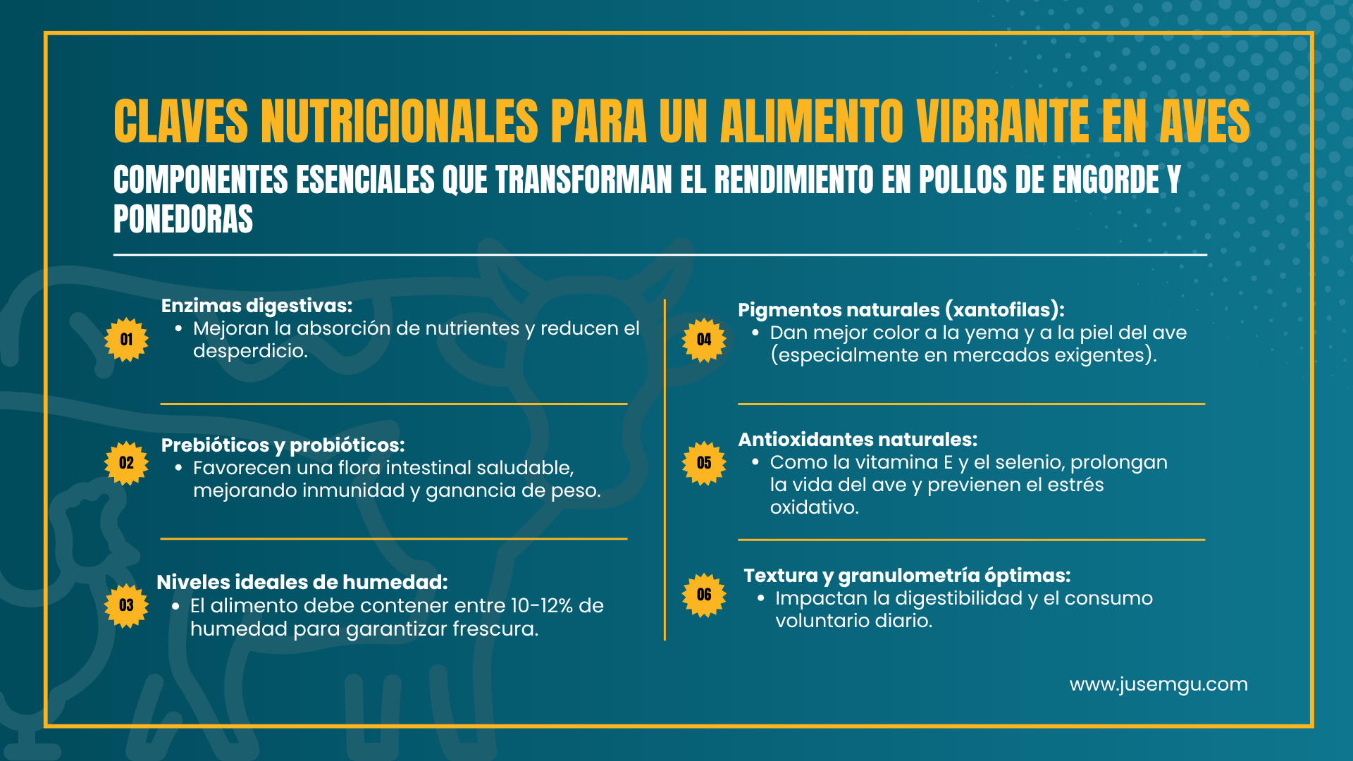 Guía indispensable pollos de engorde y ponedoras